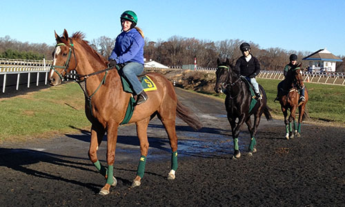 Grand National Recap: Winning is Divine - This is Horse Racing