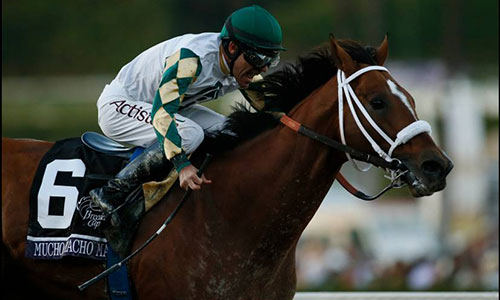 Sean's Top 10: The Return - This is Horse Racing