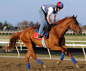 Ring Weekend tries to punch Derby ticket - This is Horse Racing