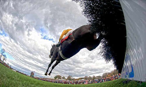 Demonstrative, Divine Fortune lead steeplechase Eclipse race - This is ...