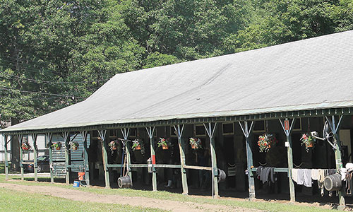 Fasig-Tipton Stable Tour with Leah Gyarmati - This is Horse Racing