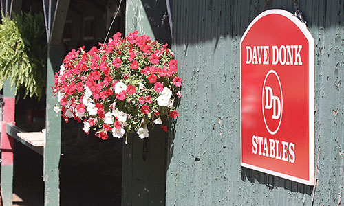 Fasig-Tipton Stable Tour with David Donk - This is Horse Racing