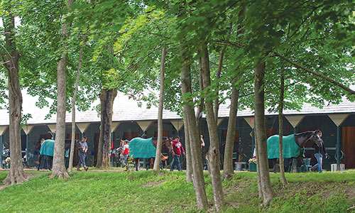 Fasig-Tipton Stable Tour with Mark Hennig - This is Horse Racing