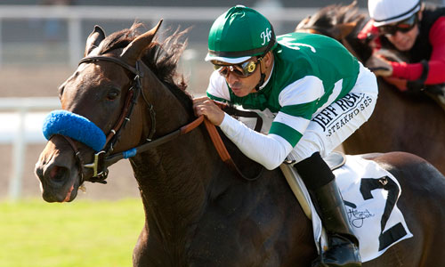Horse Who Changed Everything: Kosta Hronis & Lady Of Shamrock - This is ...