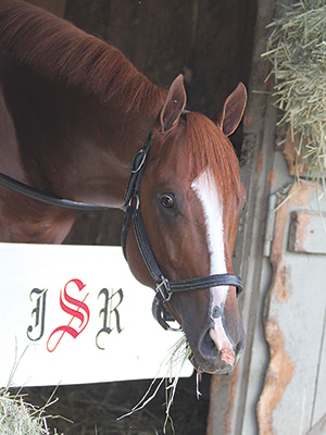 Big Shoes - This is Horse Racing