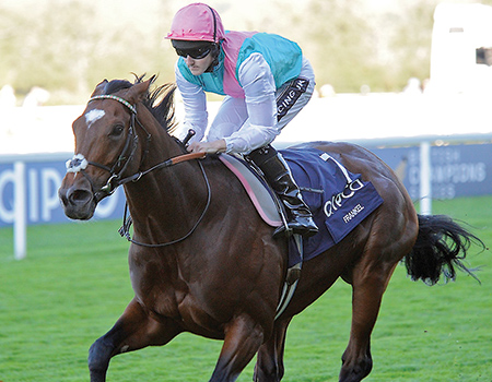 Hannah Ashcroft & Frankel - This is Horse Racing