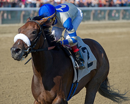 Wonder Gal tackles Laurel's Fritchie - This is Horse Racing