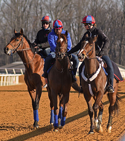 Irish War Cry looks to wake up Derby chances - This is Horse Racing