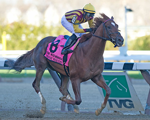 Irish War Cry delivers an answer in Wood - This is Horse Racing