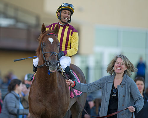Along for the Derby ride with Irish War Cry - This is Horse Racing