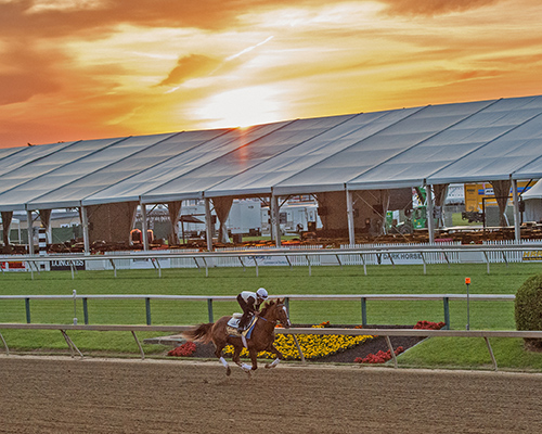 Black-Eyed Susan Day picks - This is Horse Racing