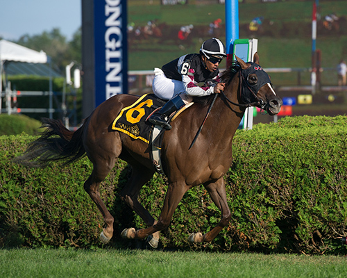 Familiar story in Smart N Fancy - This is Horse Racing