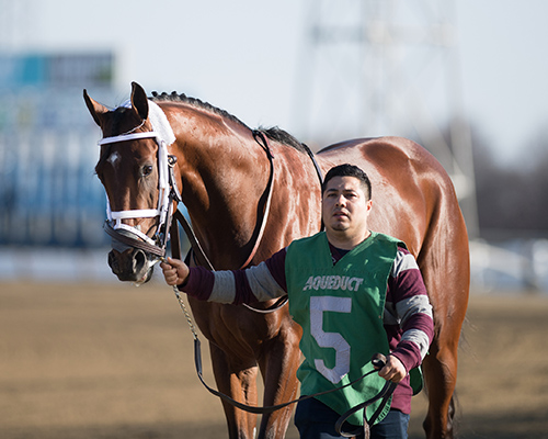 The Saturday Special – May 11 - This is Horse Racing