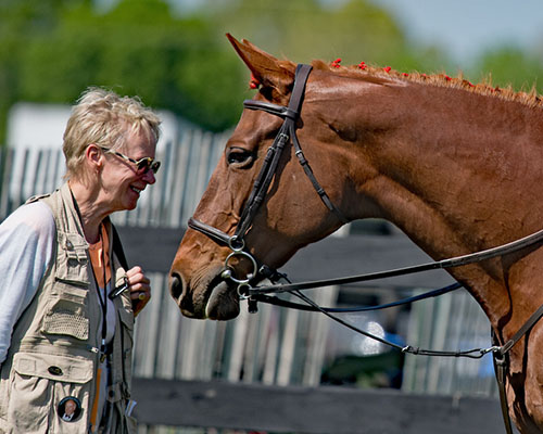Catherine French: Photographer and more - This is Horse Racing