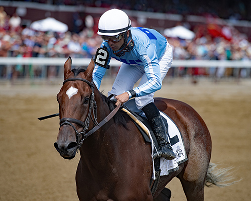 Quick Success - This is Horse Racing