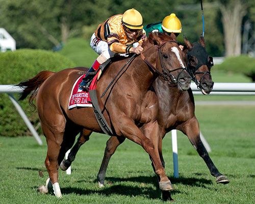 Wise Dan, Casse lead Hall of Fame class - This is Horse Racing