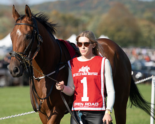 Picks & Preview for Old Dominion - This is Horse Racing