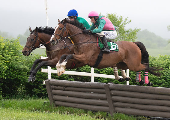 Iroquois meet highlights double steeplechase weekend - This is Horse Racing