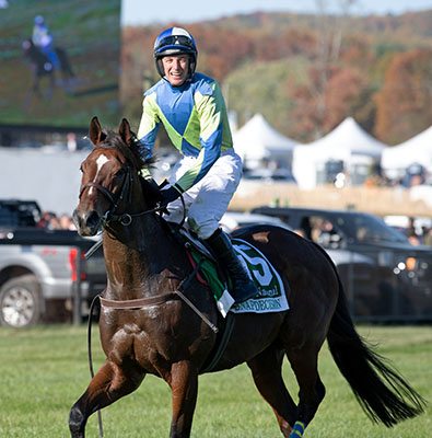 Champion Snap Decision retires at 11 - This is Horse Racing