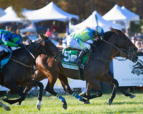 A reading from the book of Snap Decision - This is Horse Racing