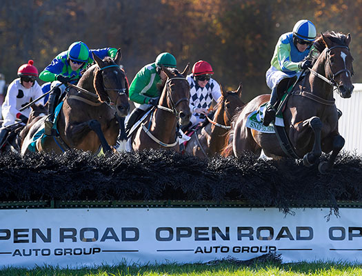 Snap Decision Day: Colonial Cup picks & preview - This is Horse Racing