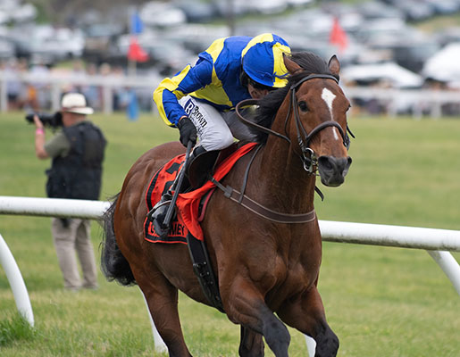 Picks & Preview: Snap Decision eyes more history in Iroquois - This is ...